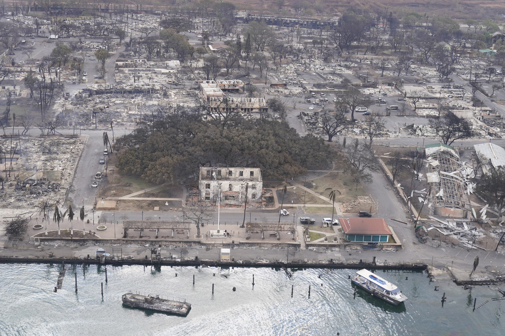 Hawaii Fires Banyan Tree | News, Sports, Jobs - Maui News